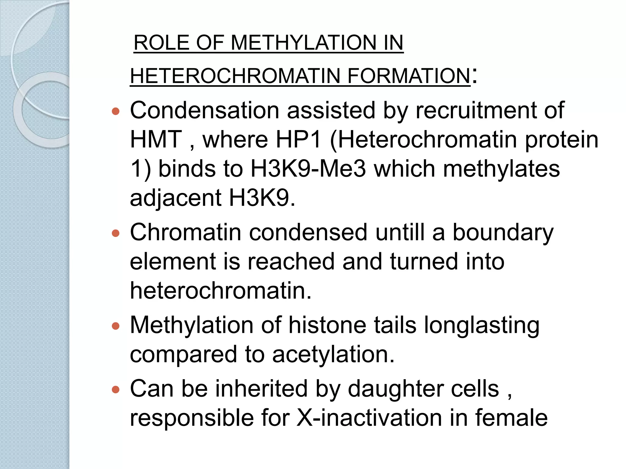 Types of histones, histone modifications and their effects | PPTX