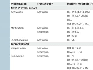 Types of histones, histone modifications and their effects | PPTX