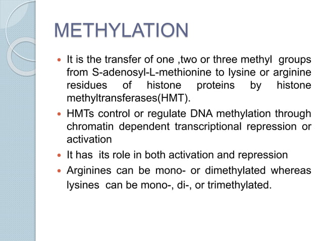 Types of histones, histone modifications and their effects | PPTX