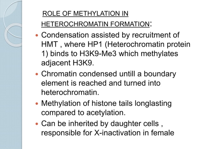 Types of histones, histone modifications and their effects | PPTX