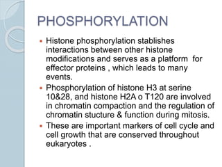 Types of histones, histone modifications and their effects | PPTX
