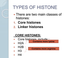 Types of histones, histone modifications and their effects | PPTX