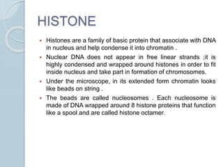 Types of histones, histone modifications and their effects | PPT