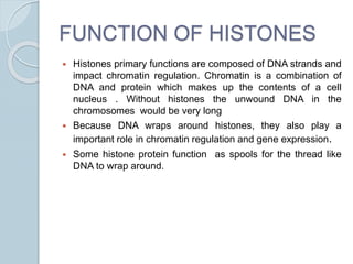 Types of histones, histone modifications and their effects | PPT
