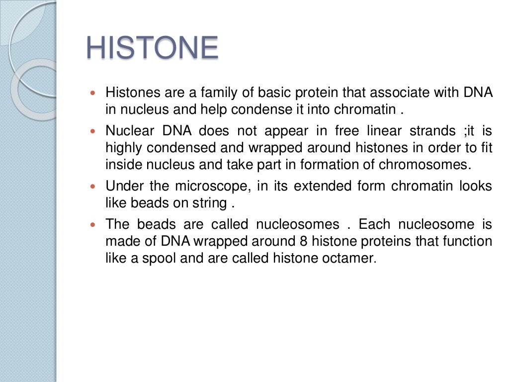 Types of histones, histone modifications and their effects