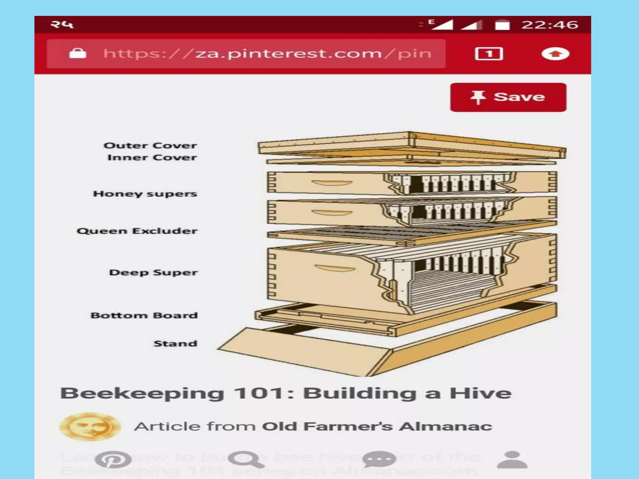 Types of hives | PPTX