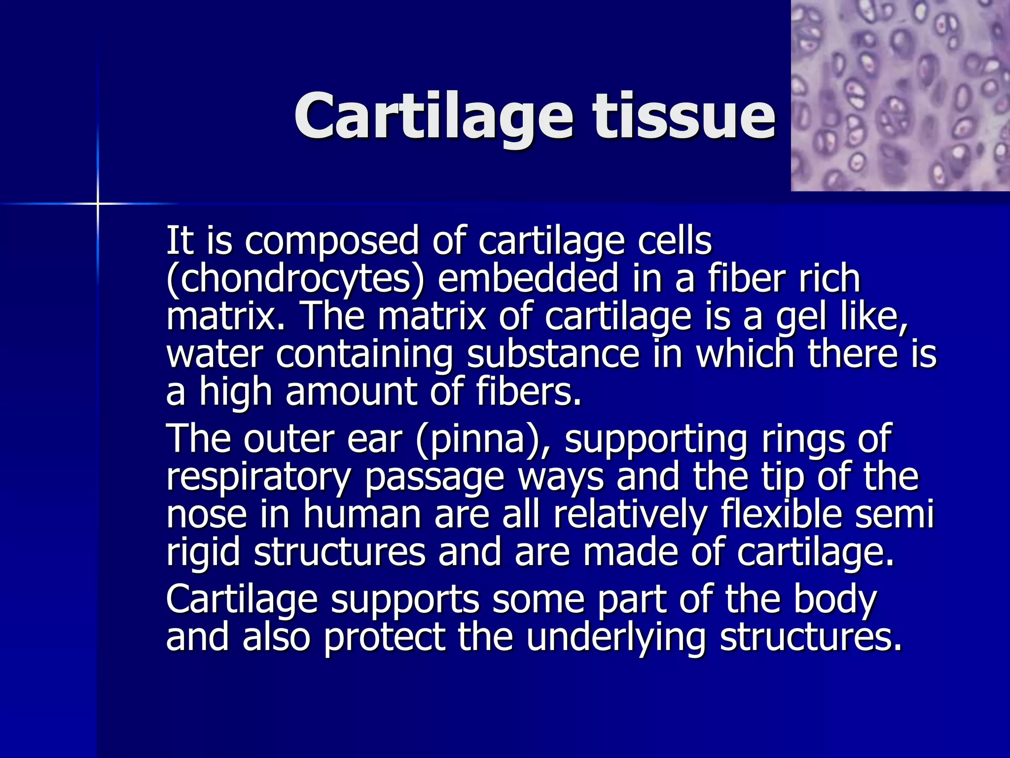 ( Types of Human Body tissue).ppt
