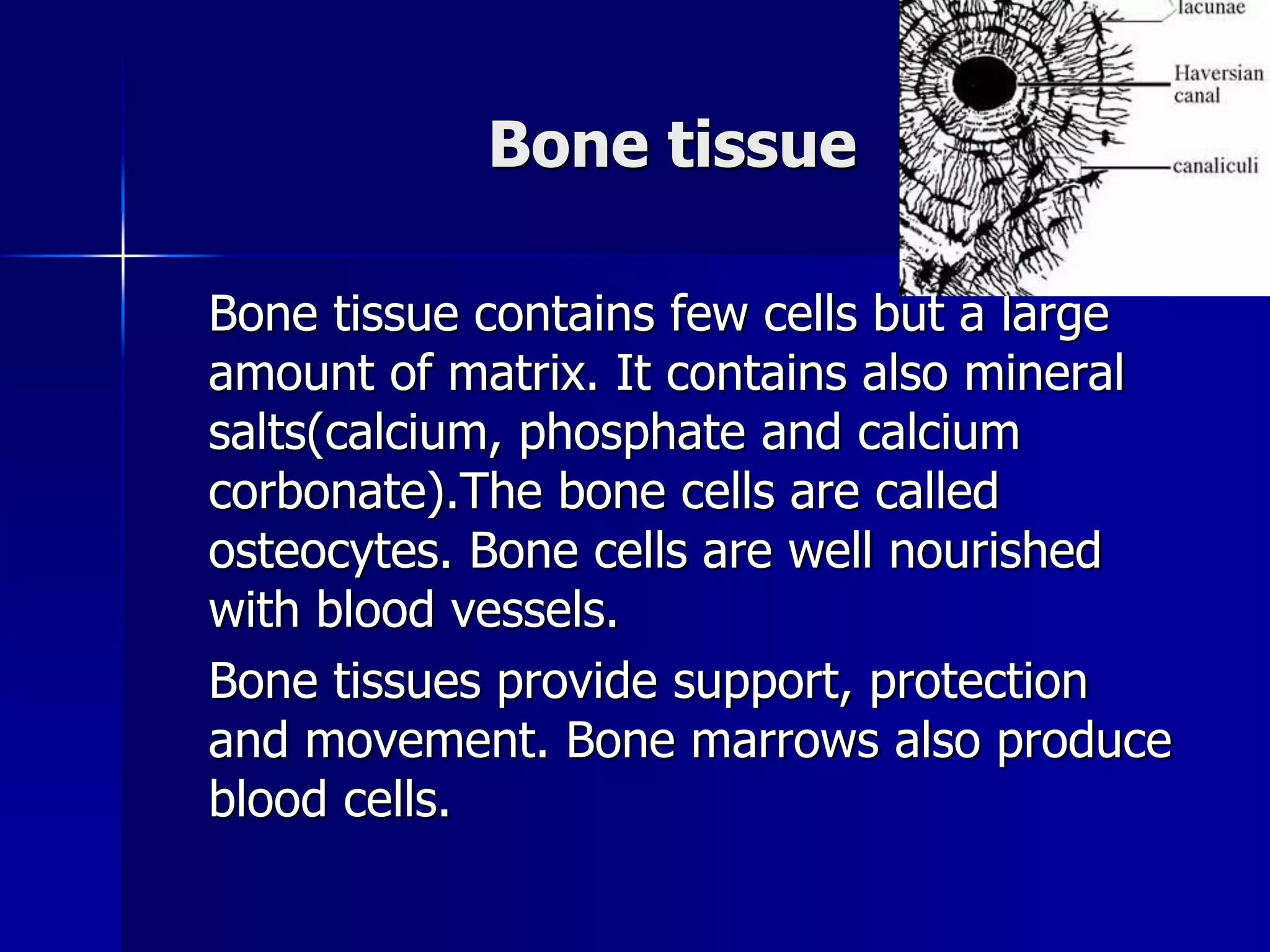 ( Types of Human Body tissue).ppt