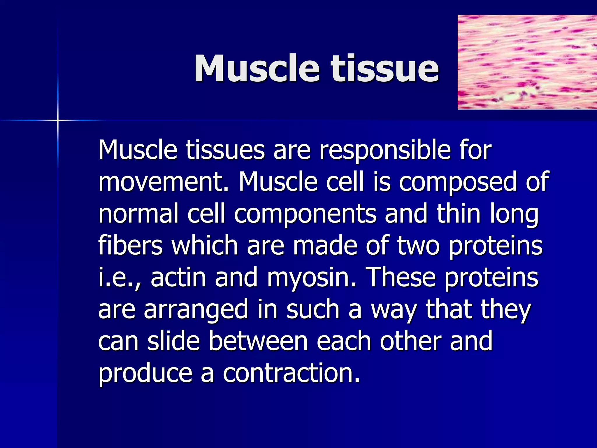( Types of Human Body tissue).ppt