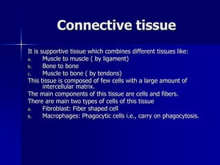 ( Types of Human Body tissue).ppt