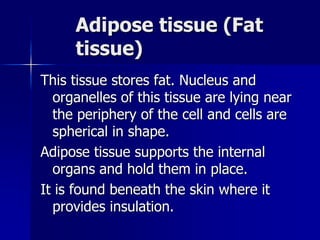 ( Types of Human Body tissue).ppt