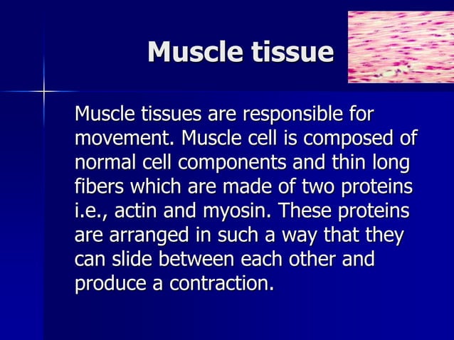 ( Types of Human Body tissue).ppt