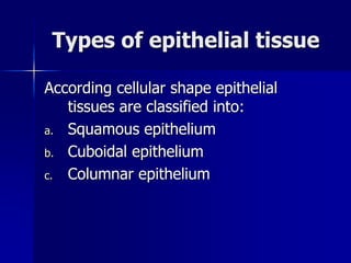 ( Types of Human Body tissue).ppt