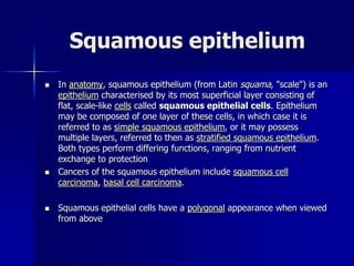 ( Types of Human Body tissue).ppt