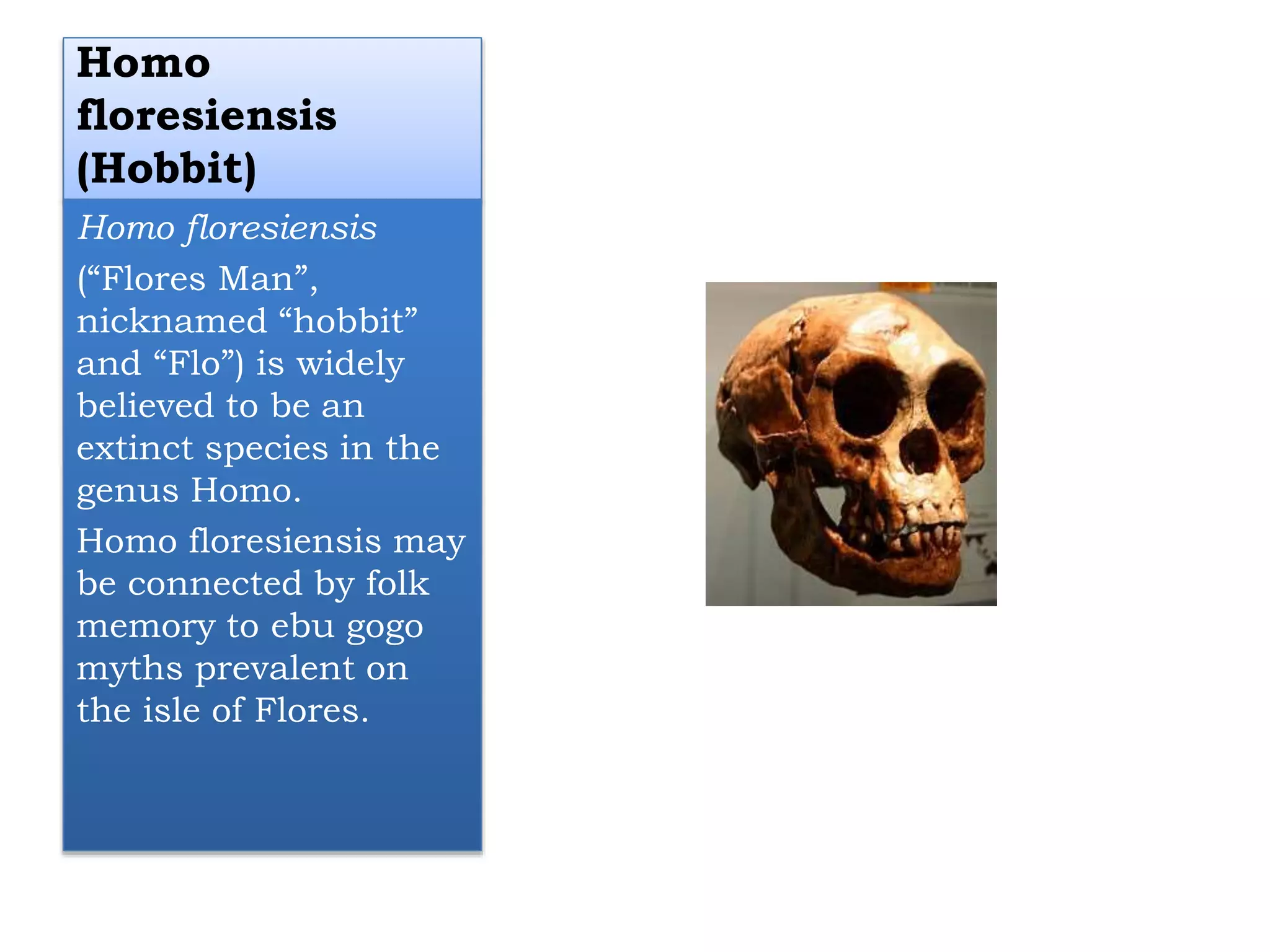Types of human species | PPTX