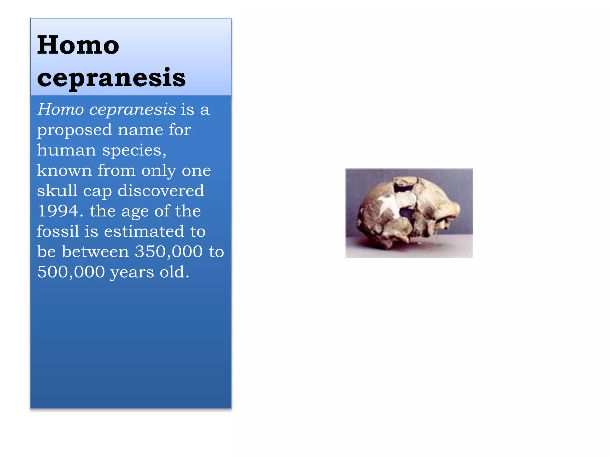 Types of human species | PPTX
