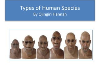 Types of human species | PPTX