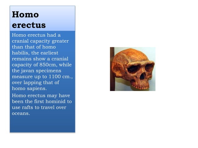 Types of human species | PPTX