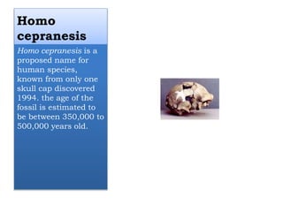 Types of human species | PPTX