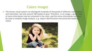 Types of images | PPTX
