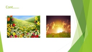 Types of images | PPTX