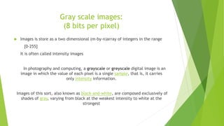 Types of images | PPTX