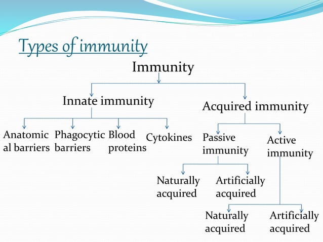 Types of immunity | PPTX | Infectious Diseases | Diseases and Conditions