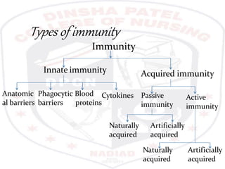 Iimmunity | PPSX