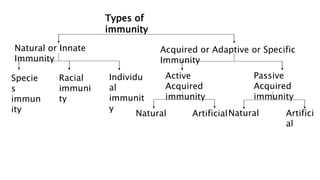 Types of immunity | PPTX