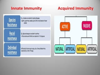 Types of Immunity | PDF