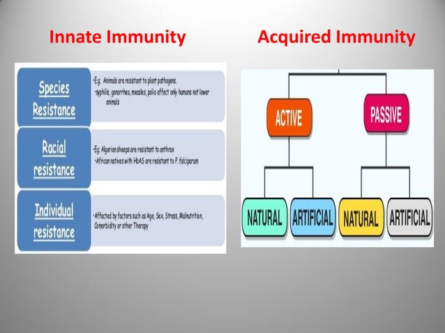 Types of Immunity | PDF | Infectious Diseases | Diseases and Conditions