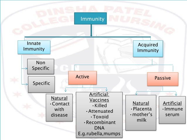Types of immunity | PPT