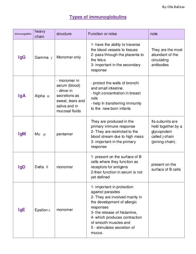 Types of immunoglobulins