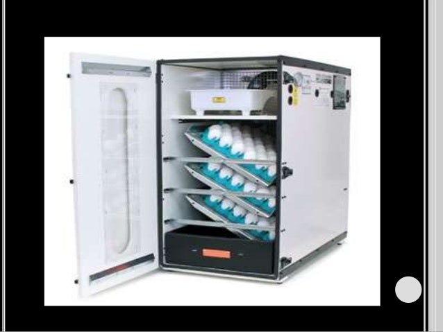 Types of incubators parts and their operations