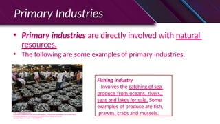Types of Industry for economics stu.pptx