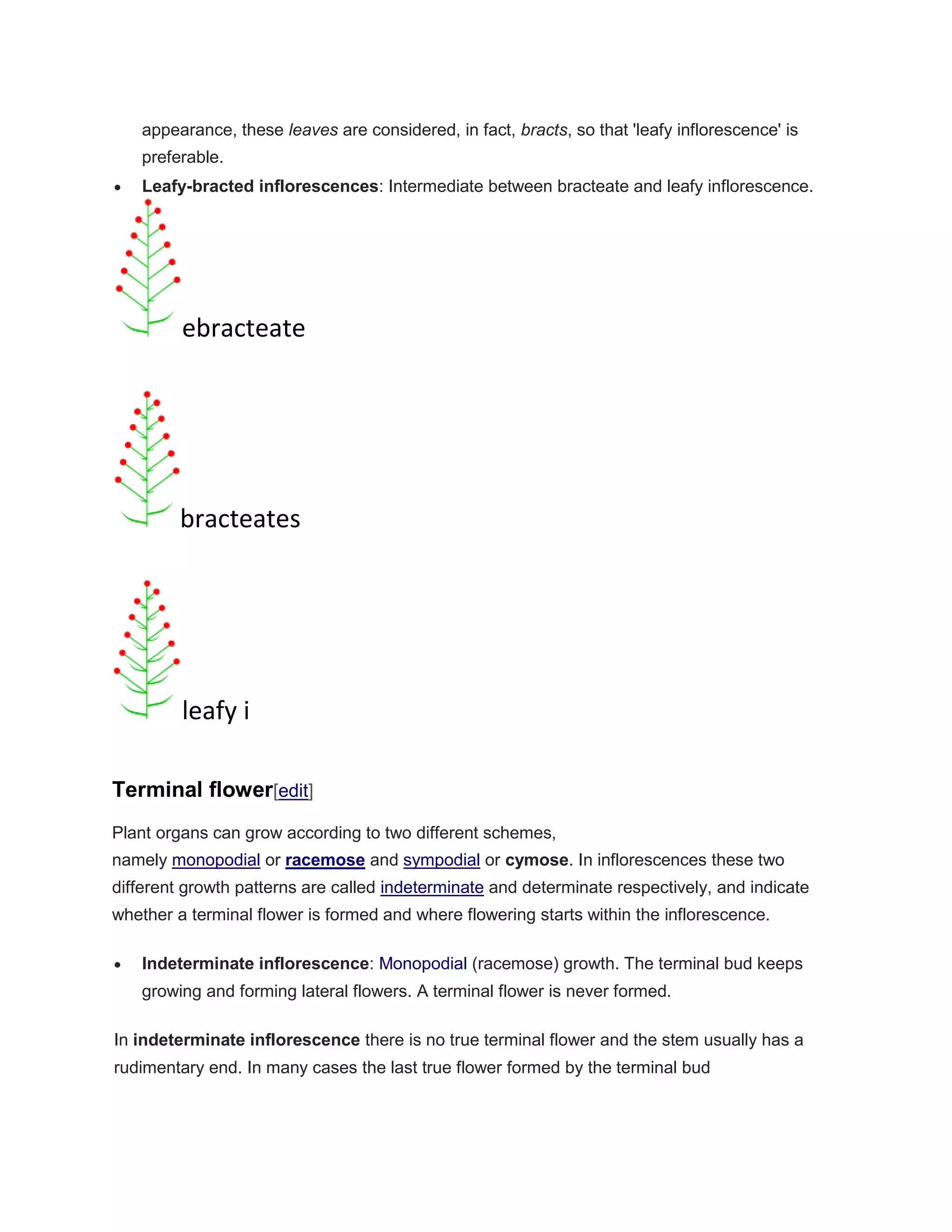 Types of inflorescence | DOCX