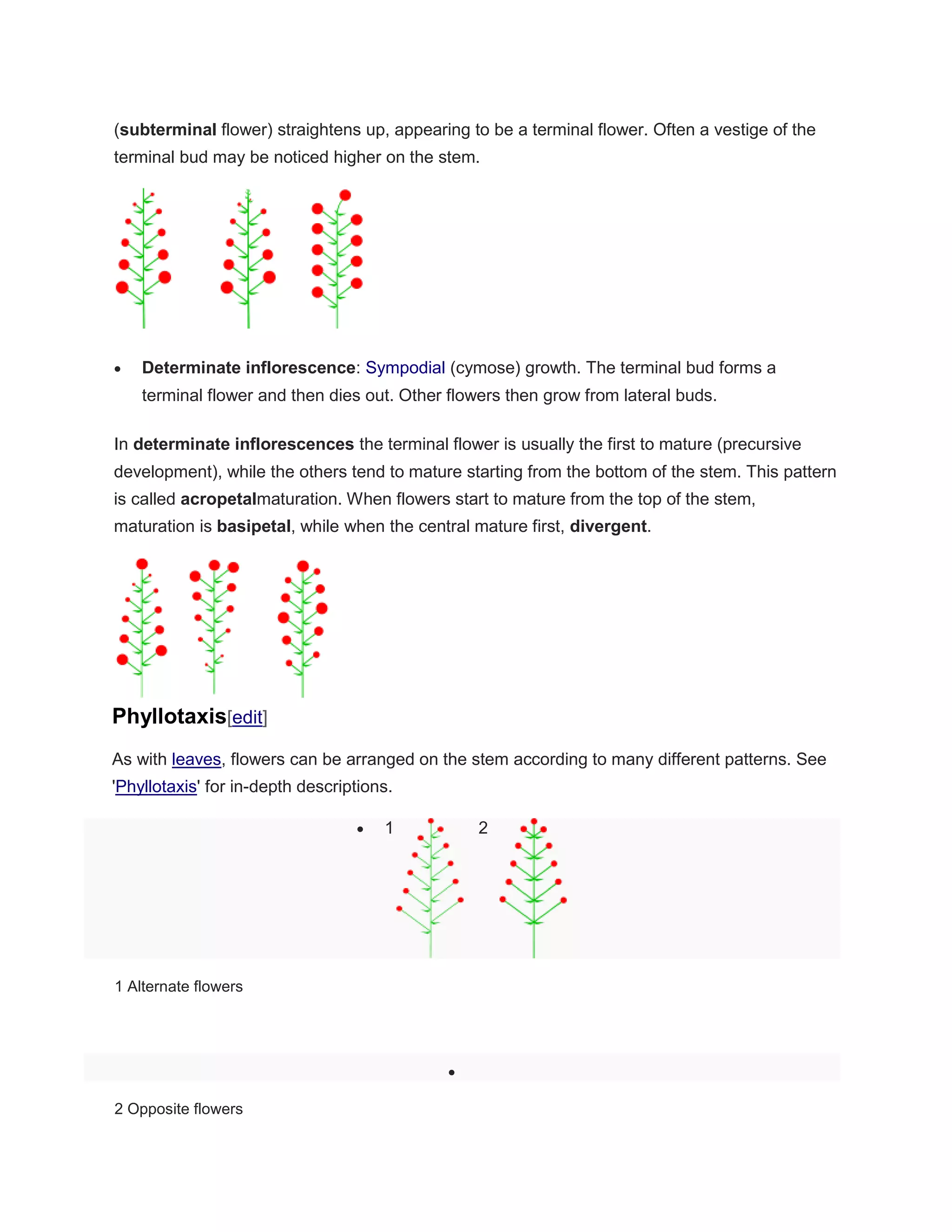 Types of inflorescence | DOCX