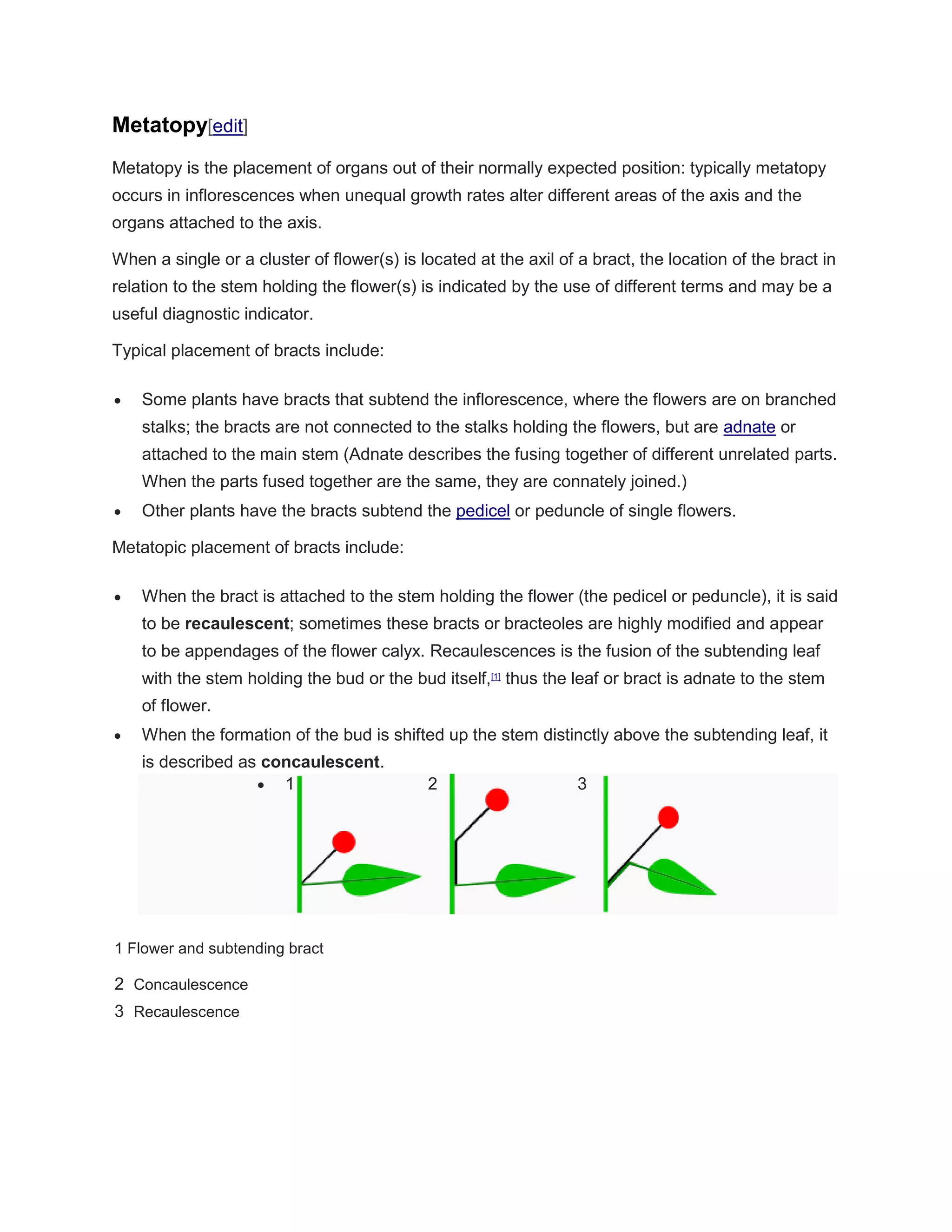 Types of inflorescence | DOCX
