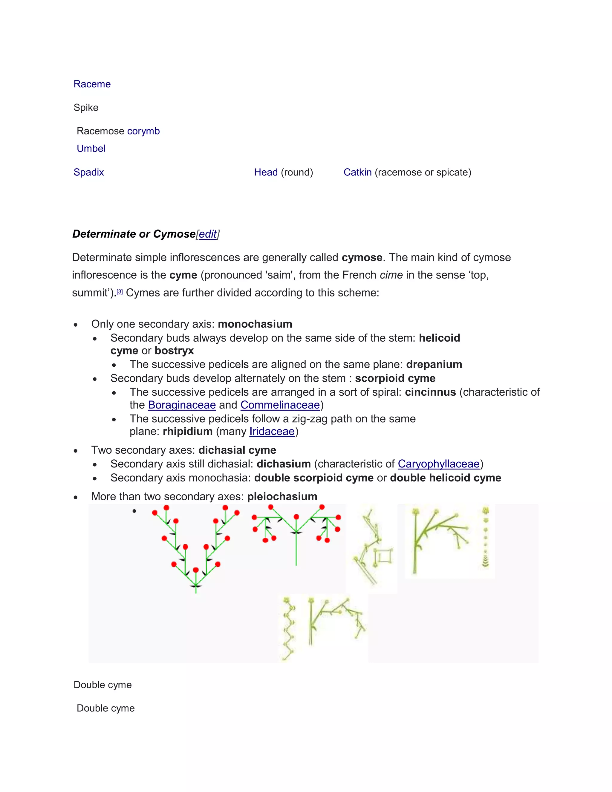 Types of inflorescence | DOCX