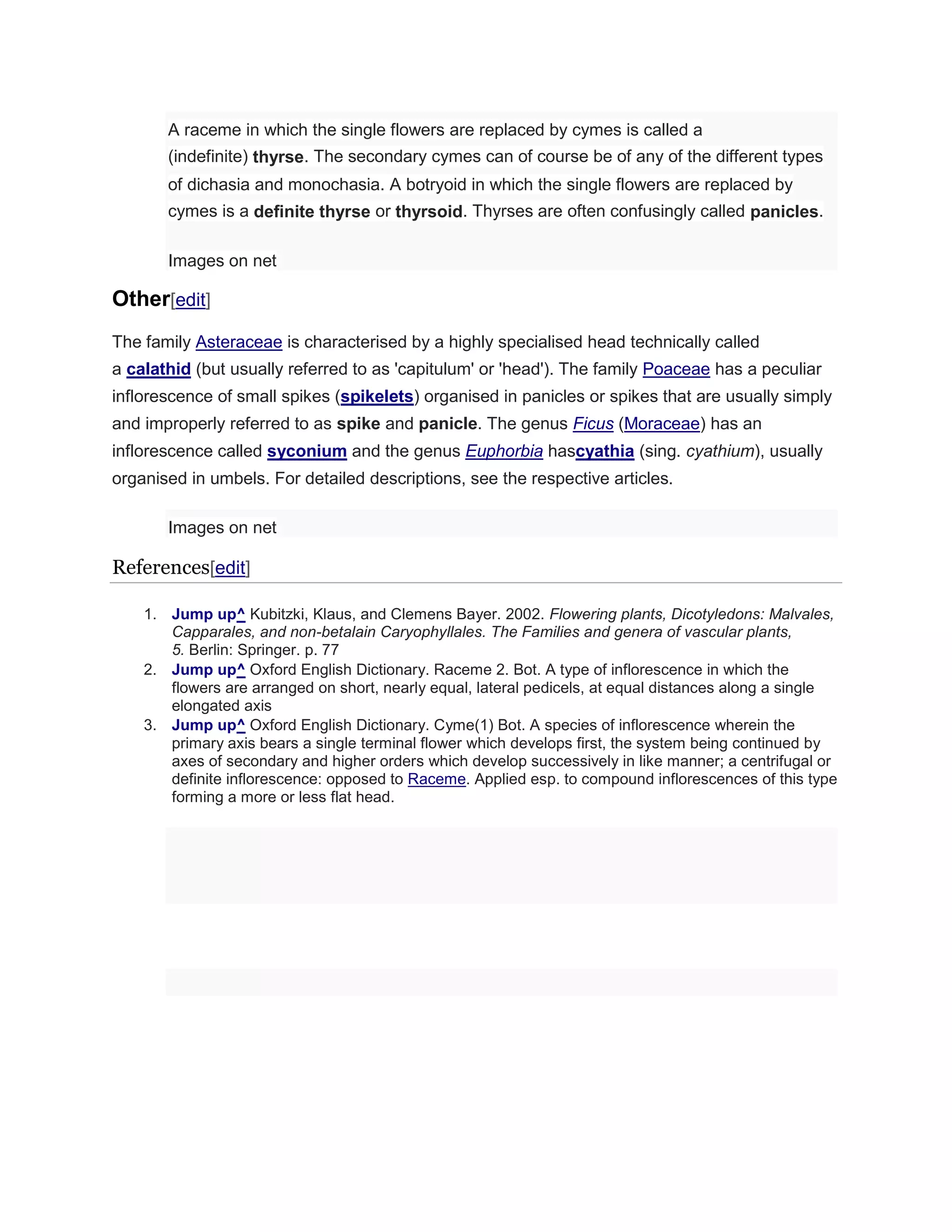 Types of inflorescence | DOCX