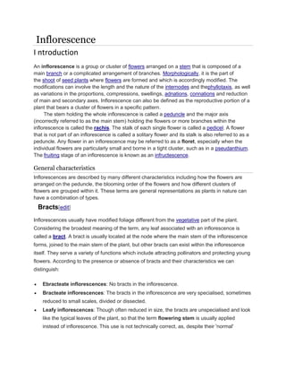 Types of inflorescence | DOCX