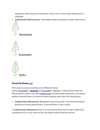 Types of inflorescence | DOCX