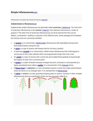 Types of inflorescence | DOCX