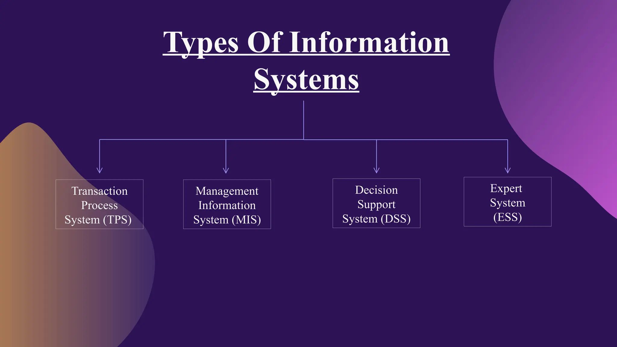 Types of info system for iintm students.pptx