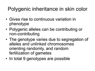 4-Genetics - Types of inheritance (by CJ) | PPTX