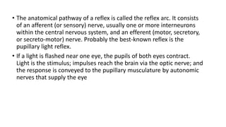 Types of innate behaviour | PPTX