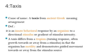 Types of innate behaviour | PPTX