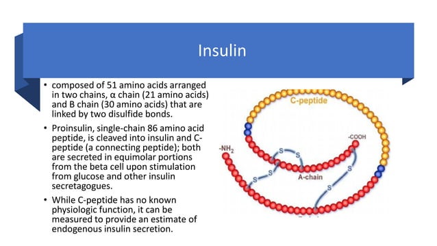 Types of insulin & correction of hyperglycemia | PDF | Diabetes ...