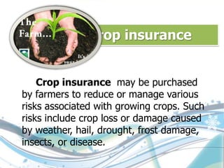 Types of Insurance | PPTX