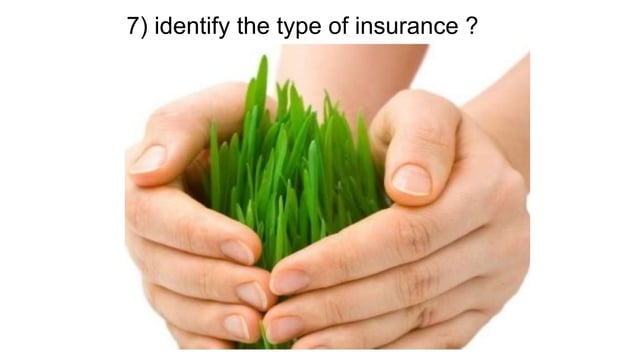 It is all about the Types of insurance.. | PPTX